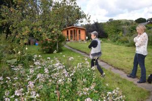 Interview: Helen Melvin | The Wild Dyery Studio of natural textile dyer ...
